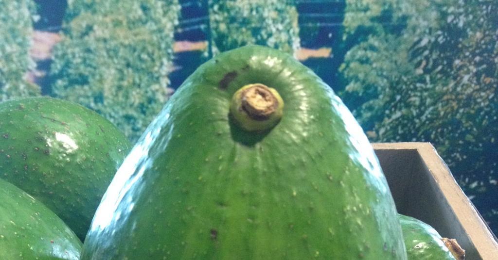 Giant avo launches at Waitrose | Article | Fruitnet