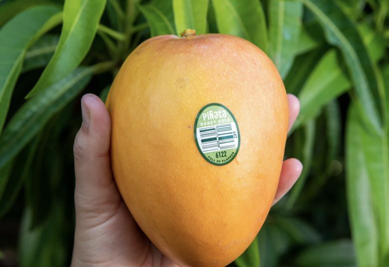 New marketing campaign for Honey Gold | Article | Fruitnet