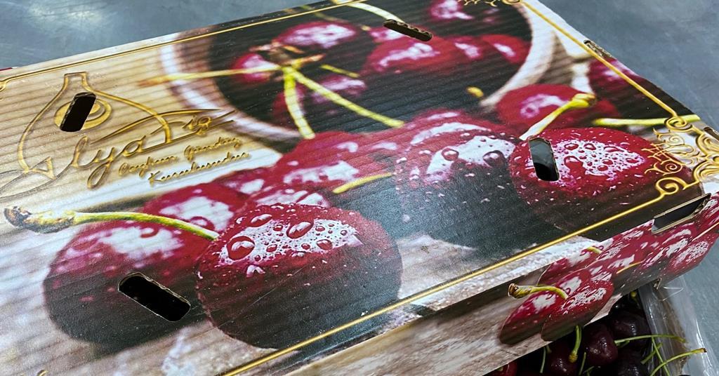 Turkey’s Alya Fruits committed to top service | News | Fruitnet