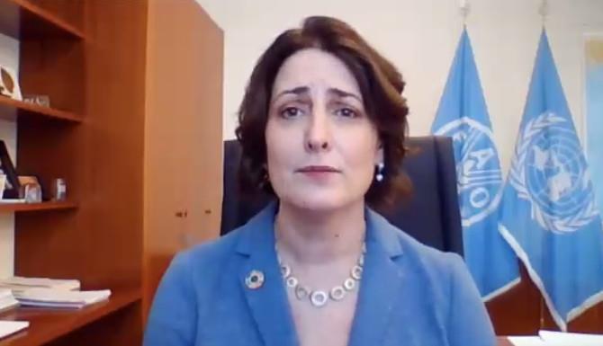 Shaffe sets out roadmap for growth | Article | Fruitnet