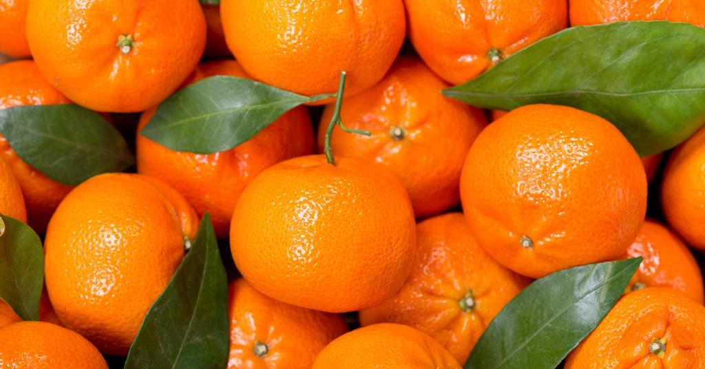 “Significant increase” in South African soft citrus crop | News | Fruitnet