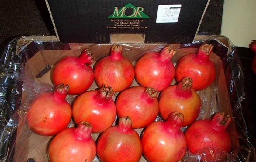 Israeli pomegranate season starts early | Article | Fruitnet