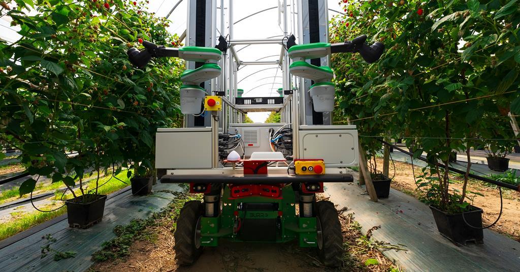 Fieldwork Robotics partners with Burro to take raspberry robot to next ...