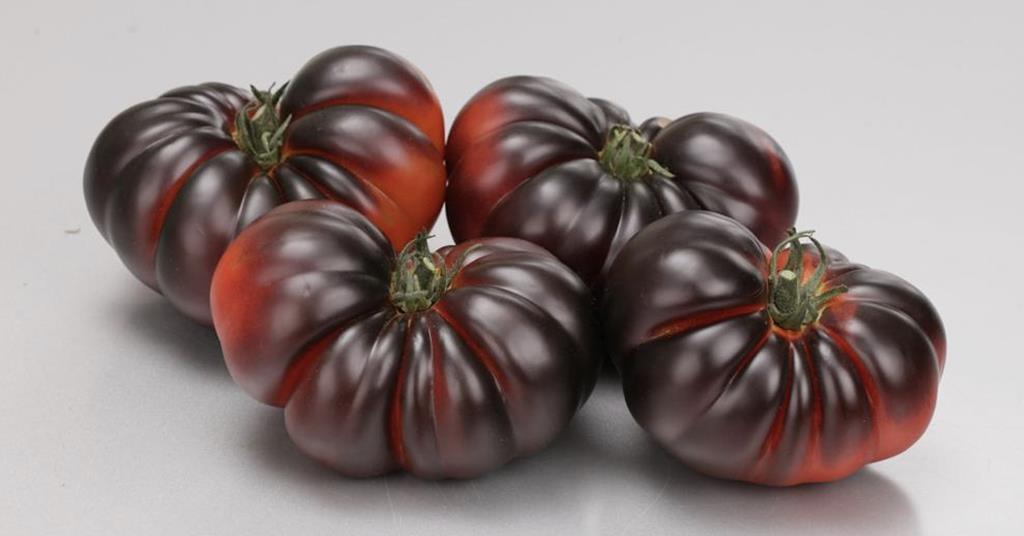 Yuksel Seeds expands ToBRFV-resistant tomato varieties, targets premium ...