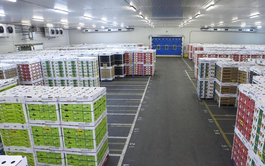 Port of Koper sets container record | Article | Fruitnet