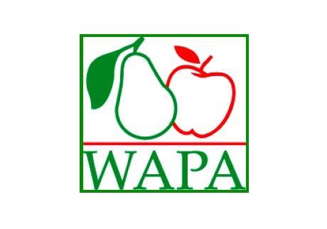 WAPA publishes apple and pear forecast | Article | Fruitnet