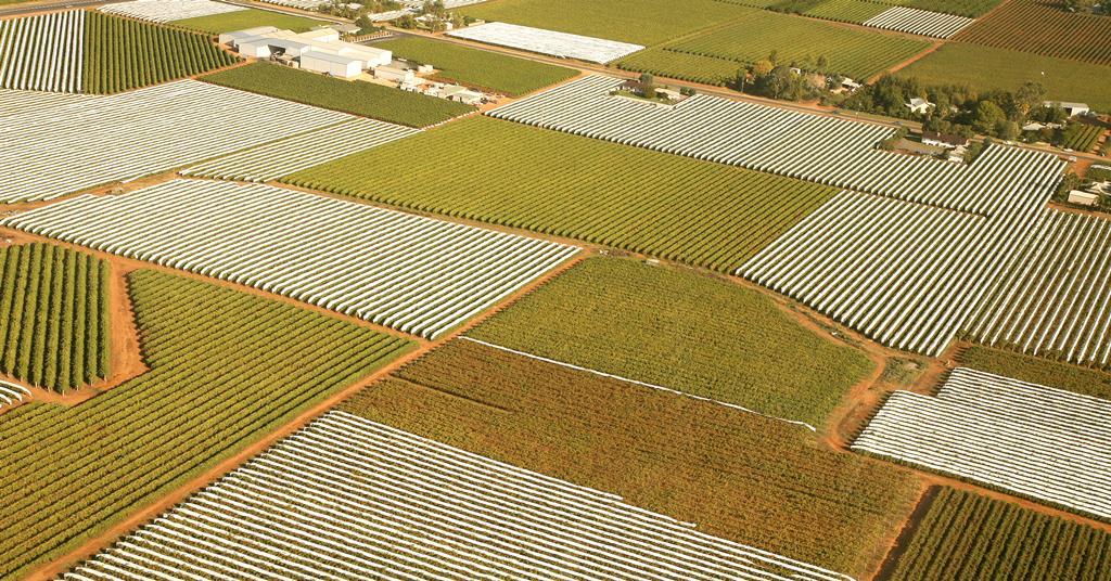 Australian Horticulture Statistics Handbook to add regional data to ...