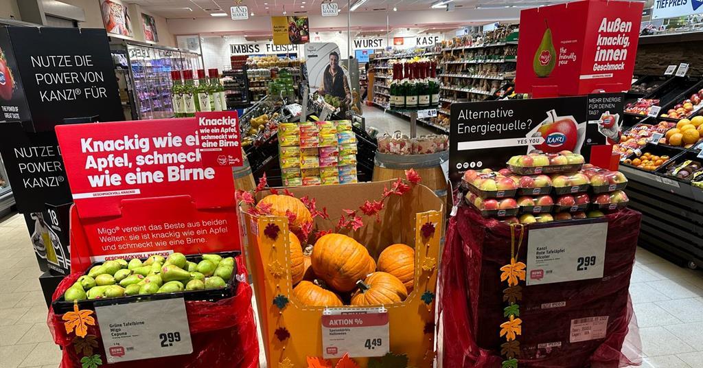 Migo® startet mit guten Voraussetzungen in die neue Saison | Article ...