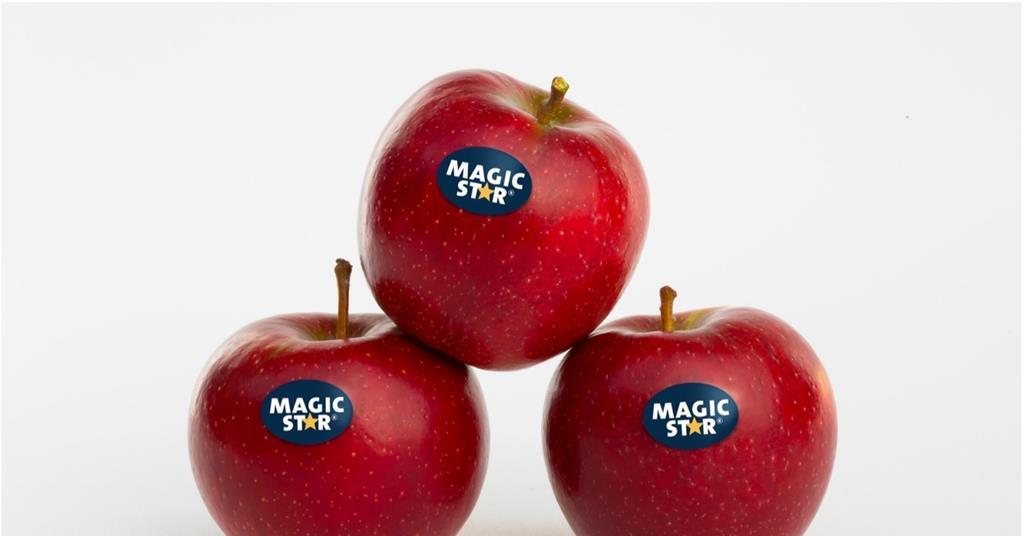 Magic Star to shine bright | News | Fruitnet