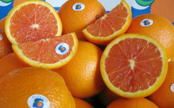 New navel varieties provide edge for Australia | Article | Fruitnet