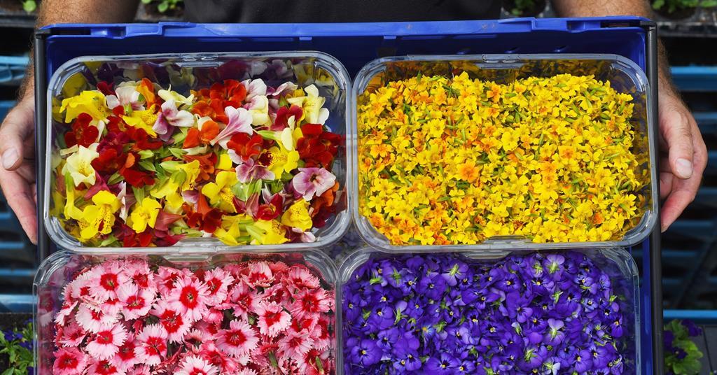 Sainsbury’s launches edible flowers range | Article | Fruitnet