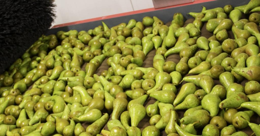 Belgian campaign launches in UK | Article | Fruitnet