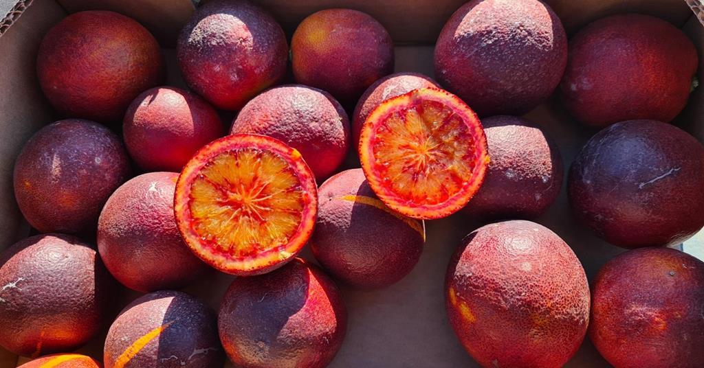 Genesis Fresh debuts Onix pigmented orange | News | Fruitnet