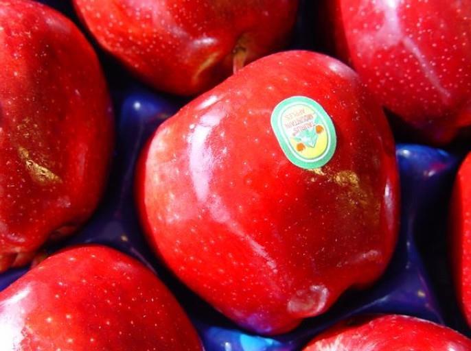 "Devastating year" for Turkish apple crop | Article | Fruitnet