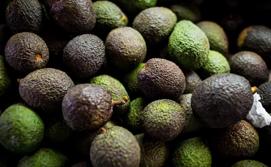 Colombian avocado industry announces Carbon Hass Project | News | Fruitnet