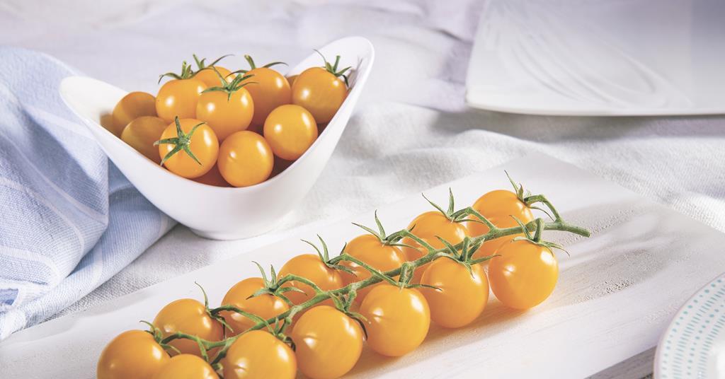 Global Tomato Congress: Gautier Seeds expands its range | Article ...