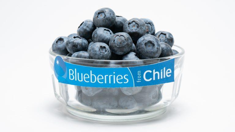 CBC releases first blueberry forecast | News | Fruitnet