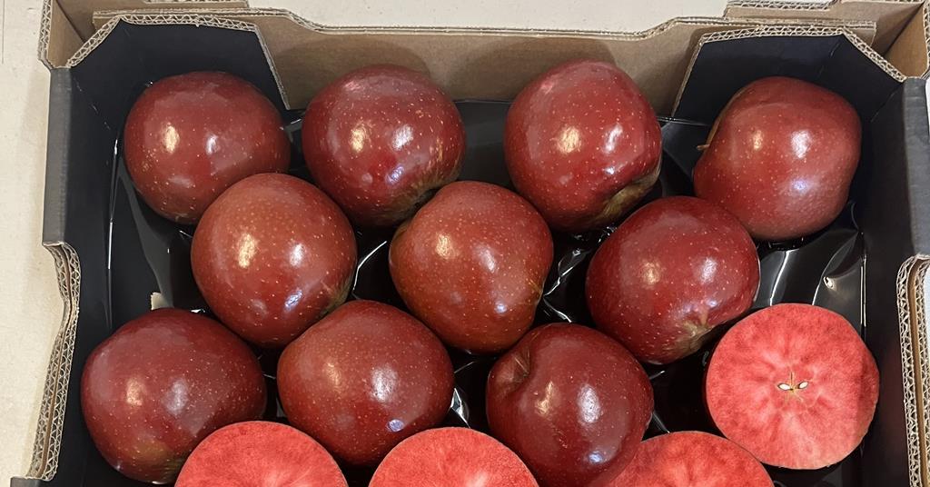 Barolli Orchards launches Australian-grown Red Moon apples | News ...