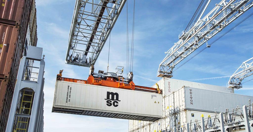 MSC updates Asia-Oceania network | Article | Fruitnet