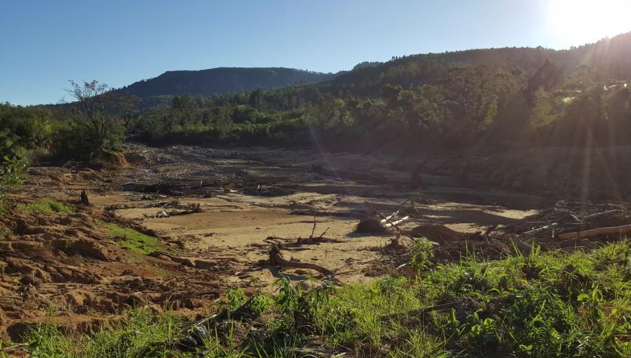 Dombera offers Zimbabwe hope | Article | Fruitnet