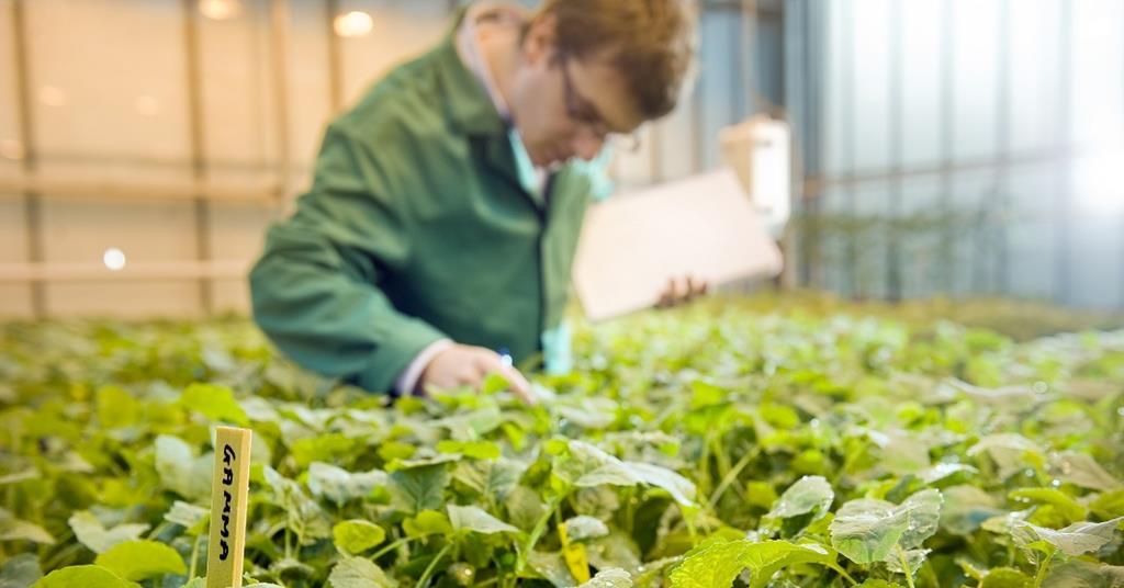 BGI-Sanya and KeyGene collaborate on spatial transcriptomics | Article ...