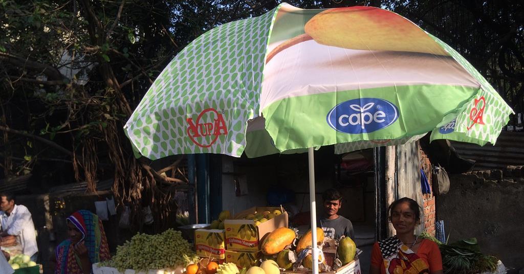 Cape pear promotion in India | Article | Fruitnet