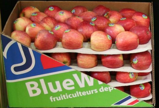 Blue Whale introduces compact box | Article | Fruitnet