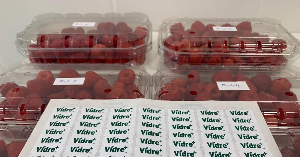 Fresh Inset offers raspberry boost | News | Fruitnet