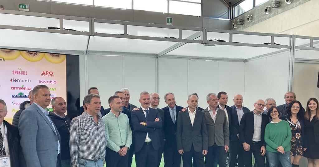 Rivoira-Gruppe: Gelbe Kiwis ab Herbst verfügbar | Article | Fruitnet