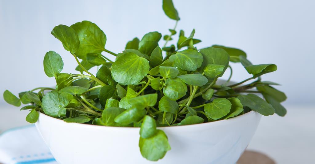 Watercress extract ‘could be used to treat eczema’ | News | Fruitnet