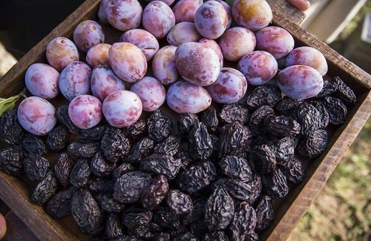 Chilean prunes set sustainability standard | Article | Fruitnet