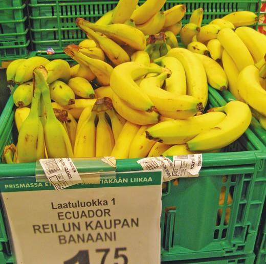 Ecuador's banana exports climb | Article | Fruitnet