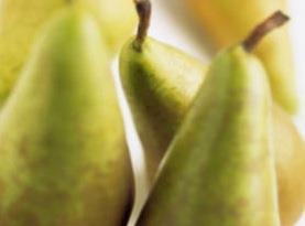 New pear packhouse opens in Belgium | Article | Fruitnet