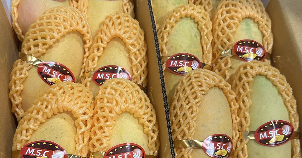 Thai mangoes take to the sea | News | Fruitnet