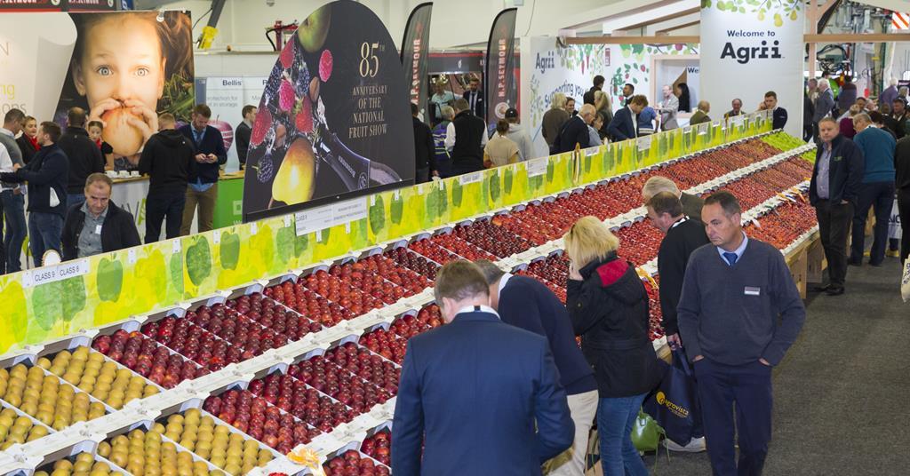 Hive talking | Article | Fruitnet