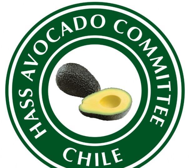 Chile shelves avocado campaign plans | Article | Fruitnet