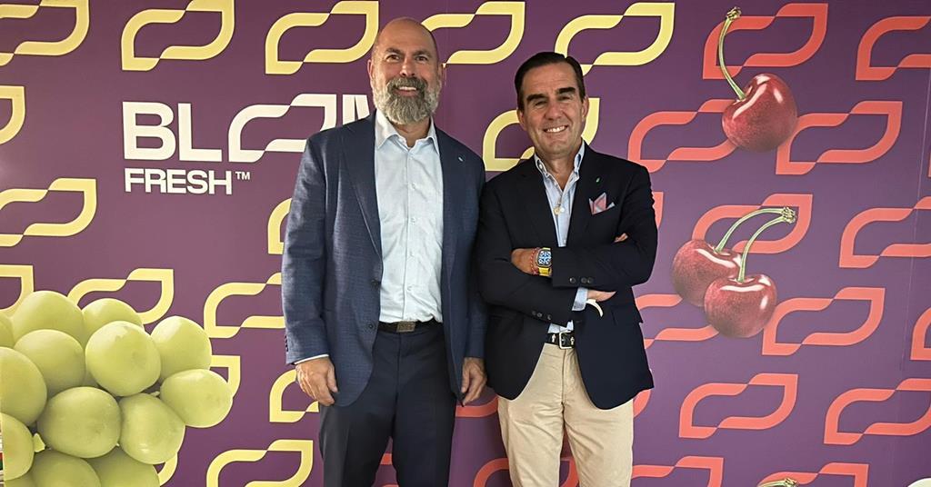 Bloom Fresh unveils new corporate identity | News | Fruitnet