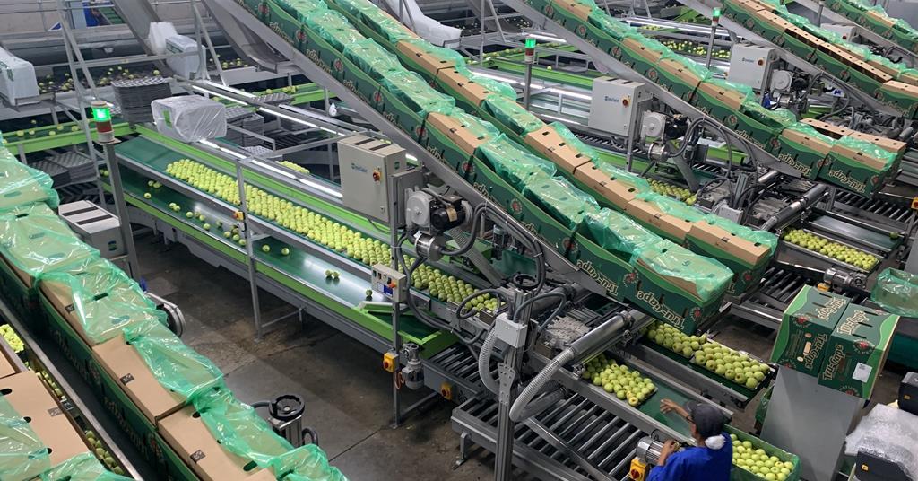 Ceres Fruit Growers wins BRCGS Site of the Year 2026 for food safety ...