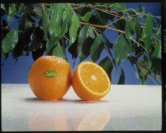 Jaffa in £1 million relaunch | Article | Fruitnet