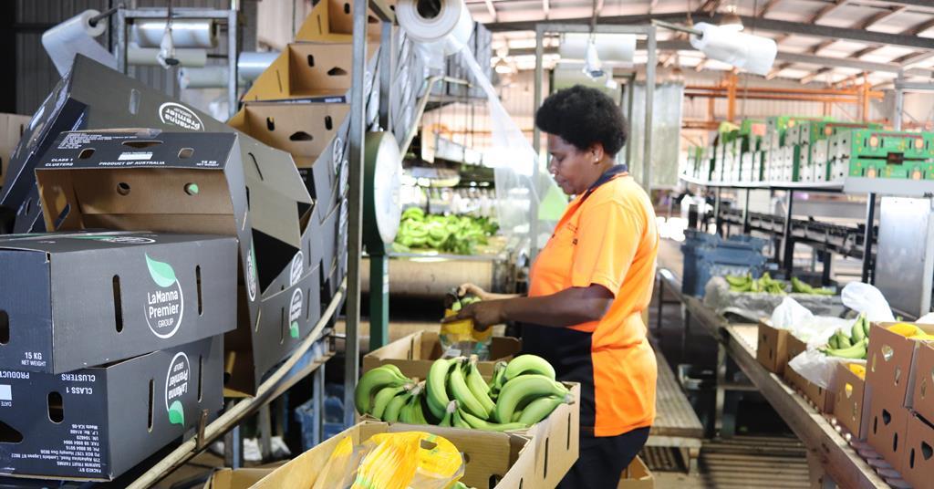 Australia streamlines seasonal labour programmes | Article | Fruitnet