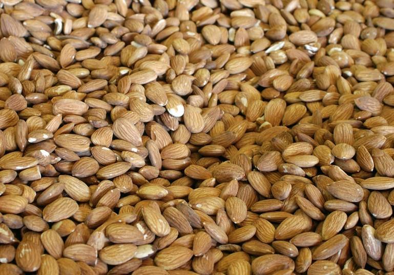 Almondco processing expansion | Article | Fruitnet