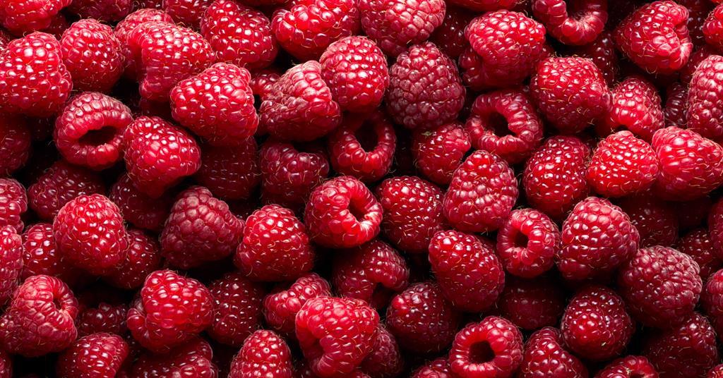 Hortifrut takes stake in BFruit | Article | Fruitnet