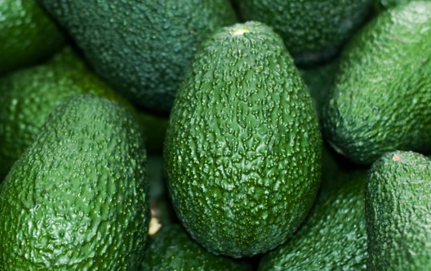 World Avocado Month to launch | Article | Fruitnet