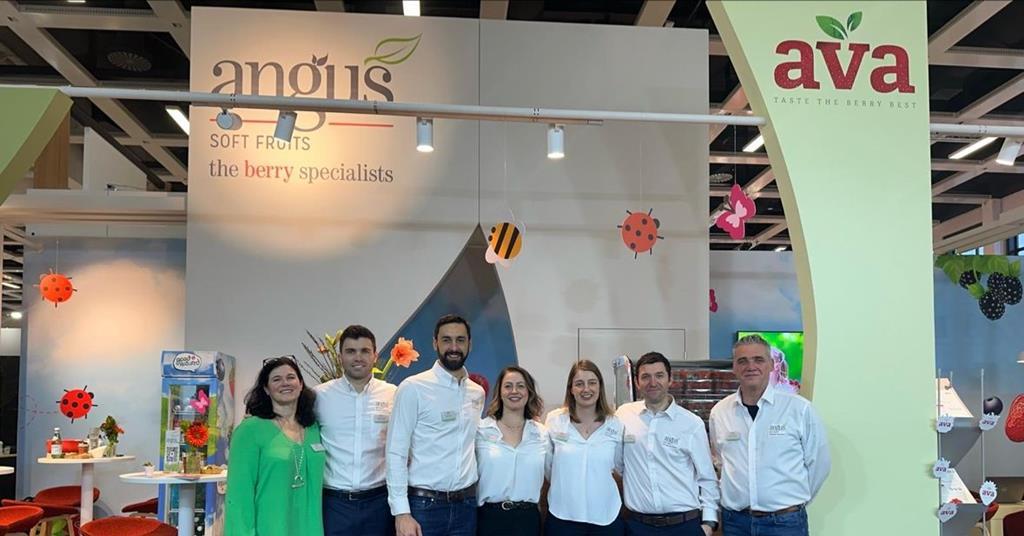 Angus Soft Fruits: 30 and thriving | Features | Fruitnet