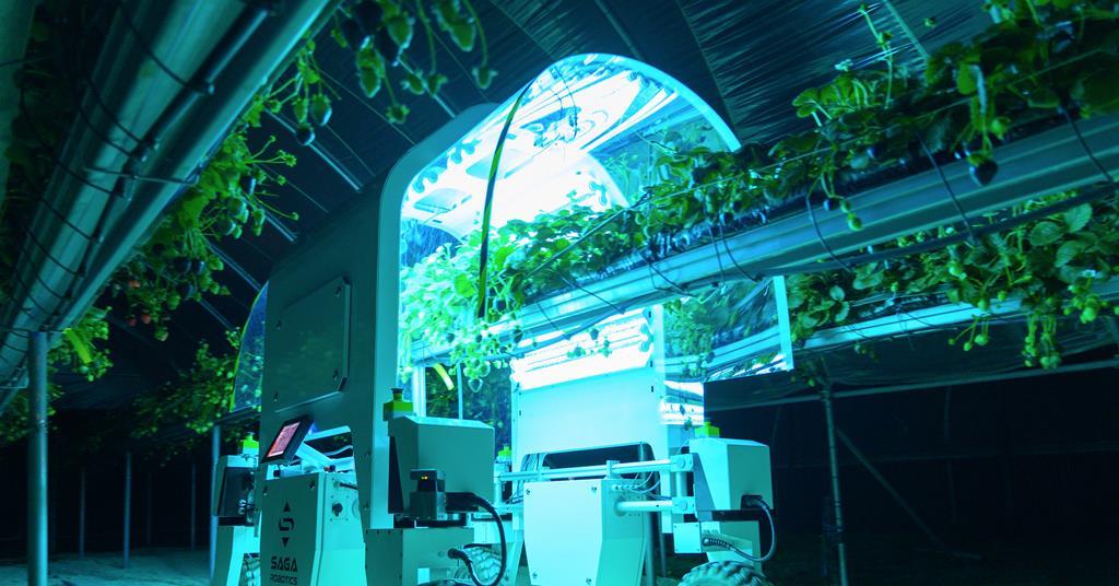 Saga Robotics raises €9.5 million | Article | Fruitnet