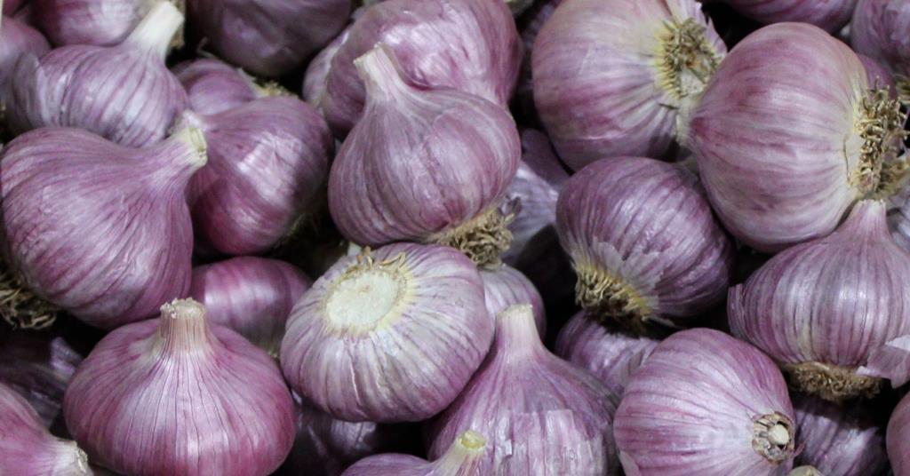 Ausveg and the Australian Garlic Industry Association join forces ...