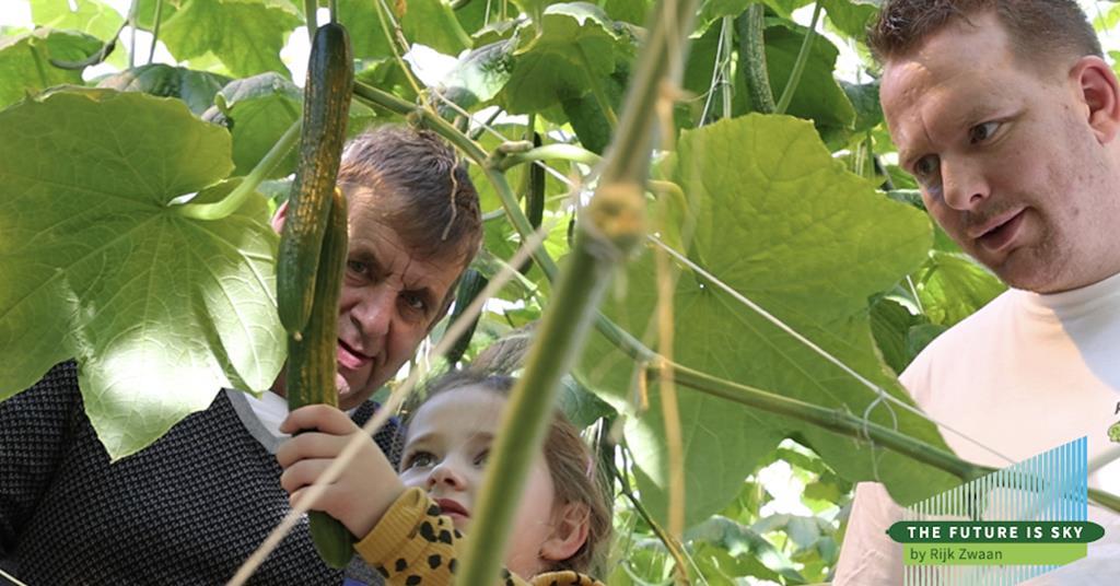 Rijk Zwaan launches ‘The future is sky’ campaign | Article | Fruitnet