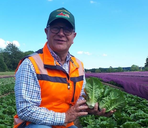 Hugh Lowe Farms buys premium salad grower LJ Betts | News | Fruitnet