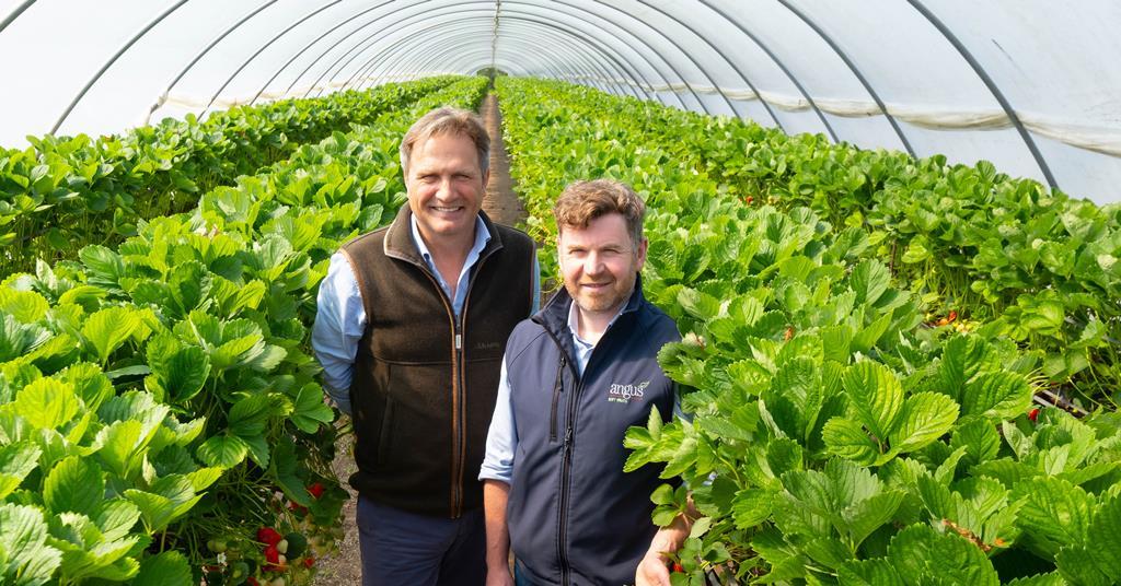 Angus Soft Fruits: 30 and thriving | Features | Fruitnet