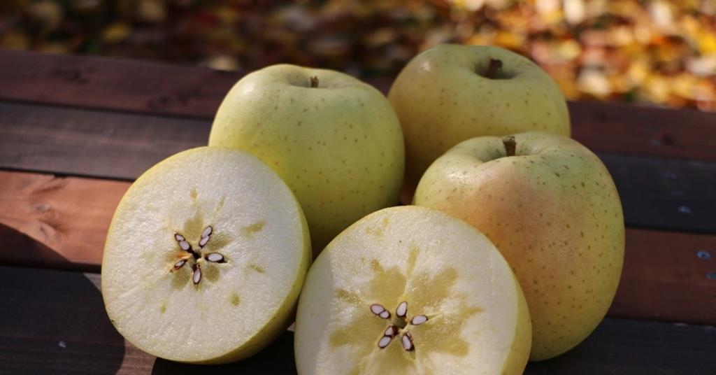 Wismettac Foods to bring Kimito apple to South Africa | News | Fruitnet
